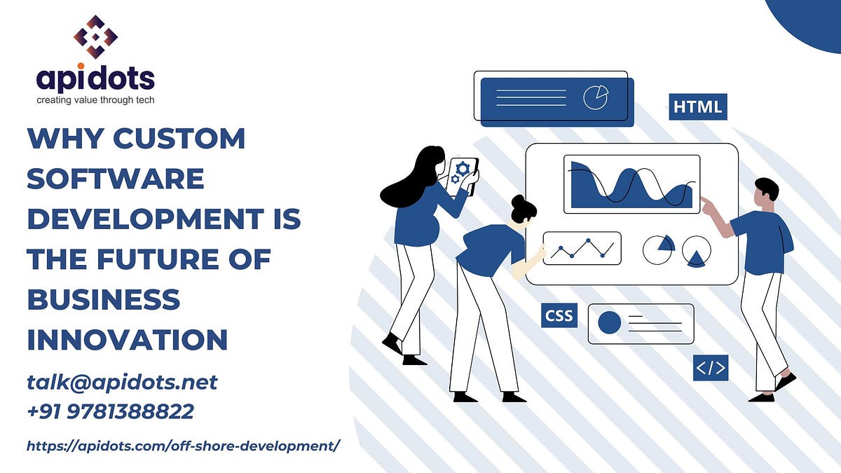 Why Custom Software Development Is the Future of Business Innovation ...