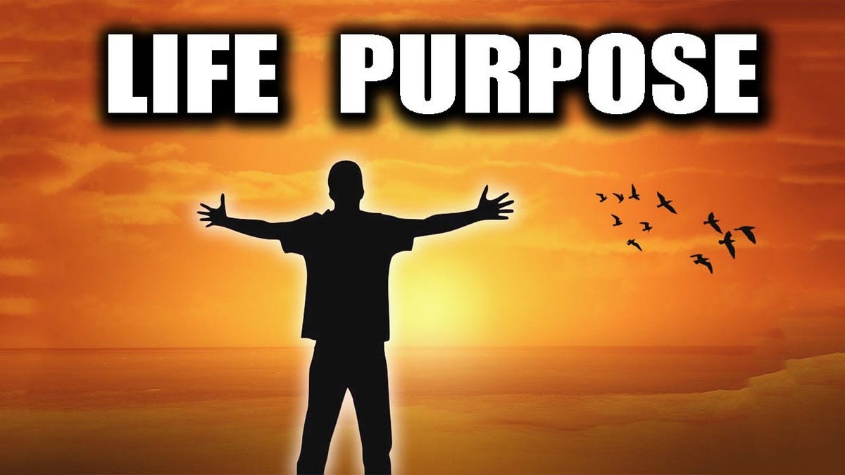 How Do I Find My Purpose in Life: Awakening to Your EPIC Calling | by ...