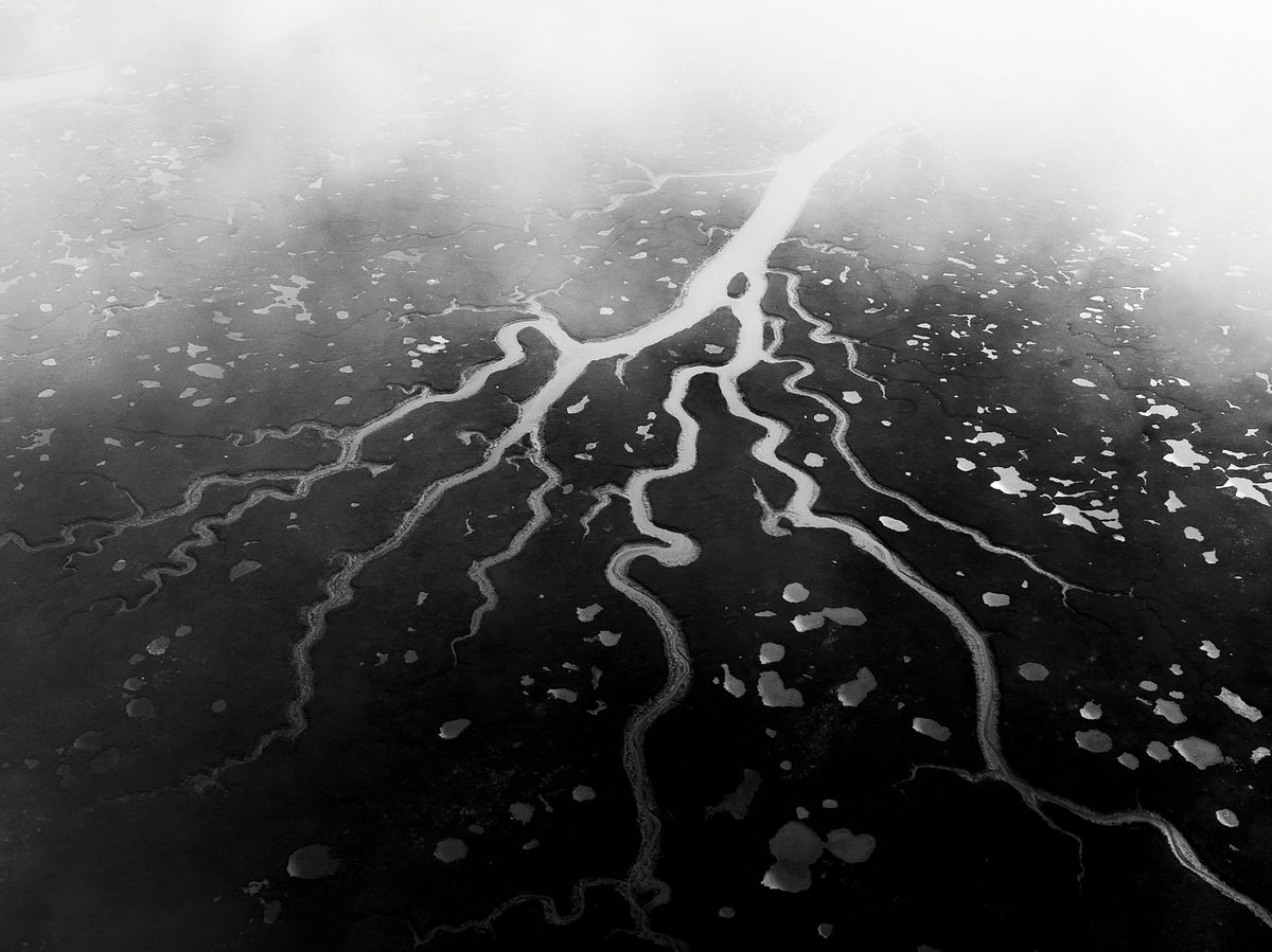 Two Rivers Meeting: The Battle of Creativity and Distraction | by ...