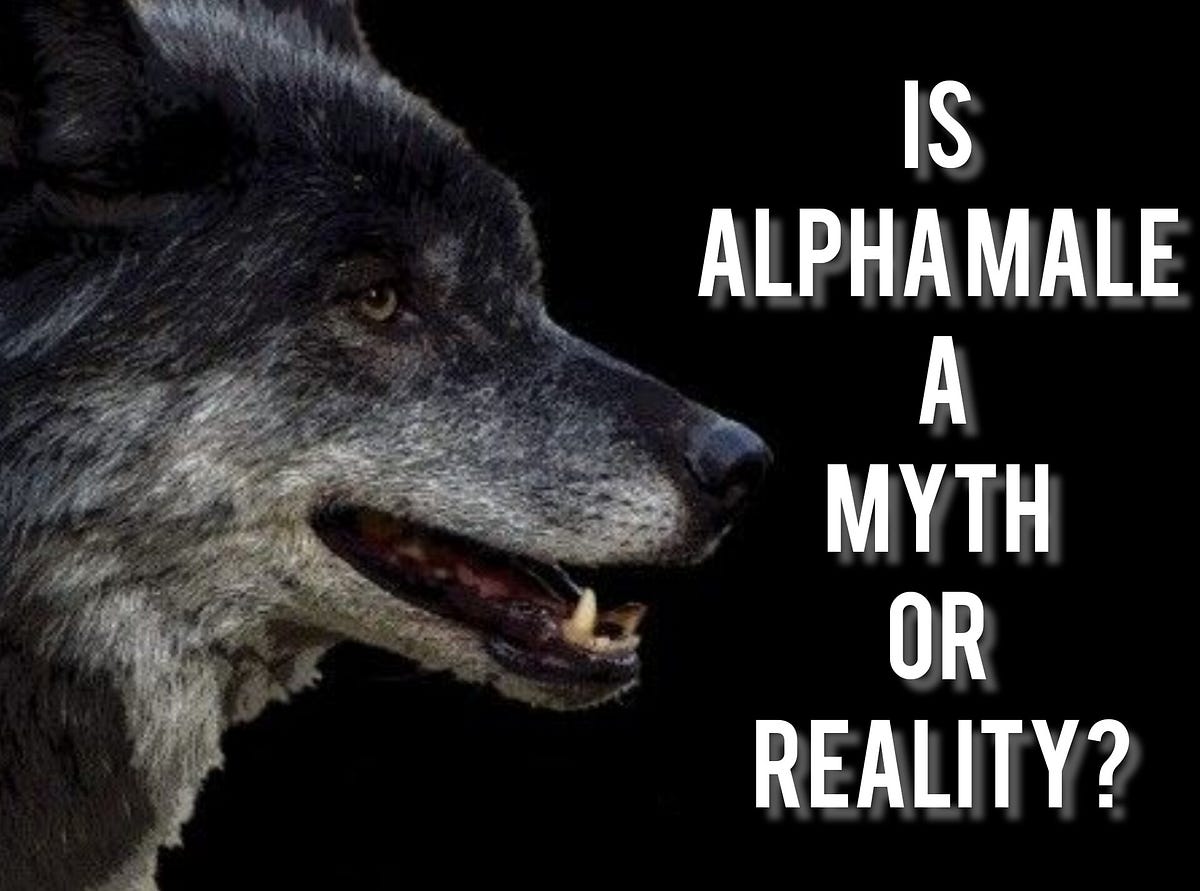 Is alpha male a myth or reality? | by Das | Mar, 2024 | Medium
