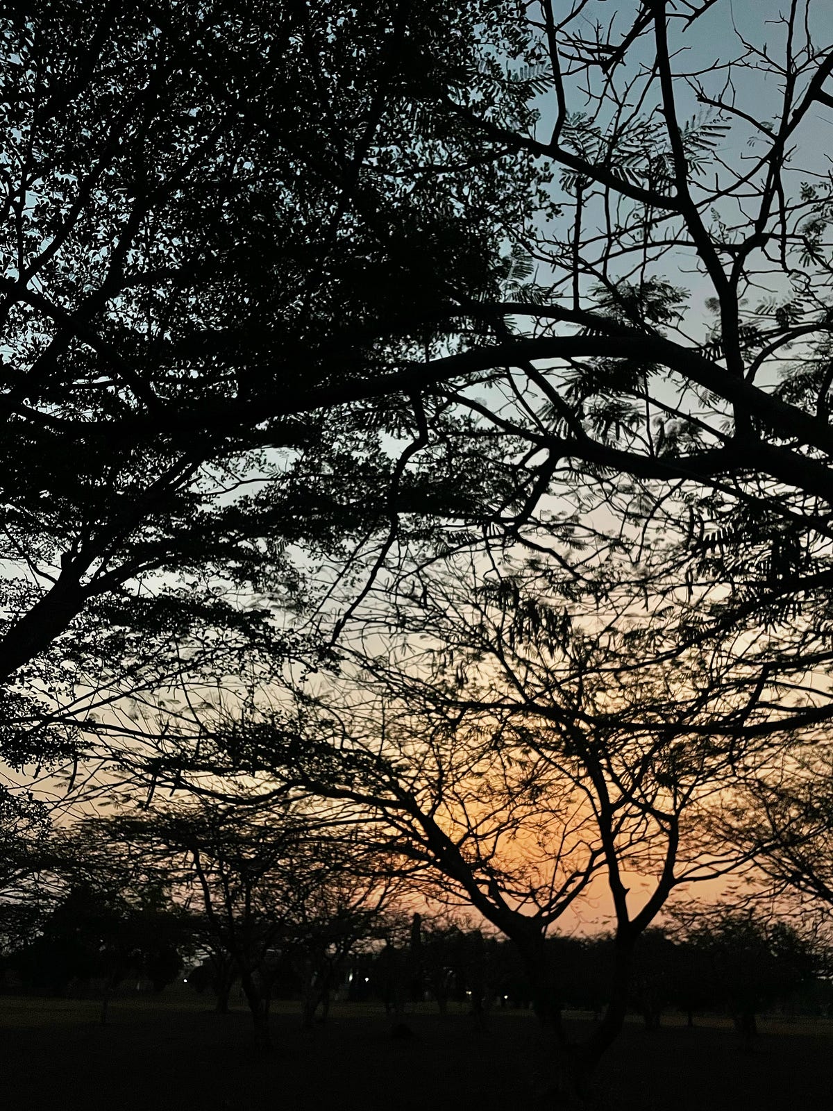 Reaching Out, Reaching Back, Reaching Balance. | by TWF | Jan, 2025 ...