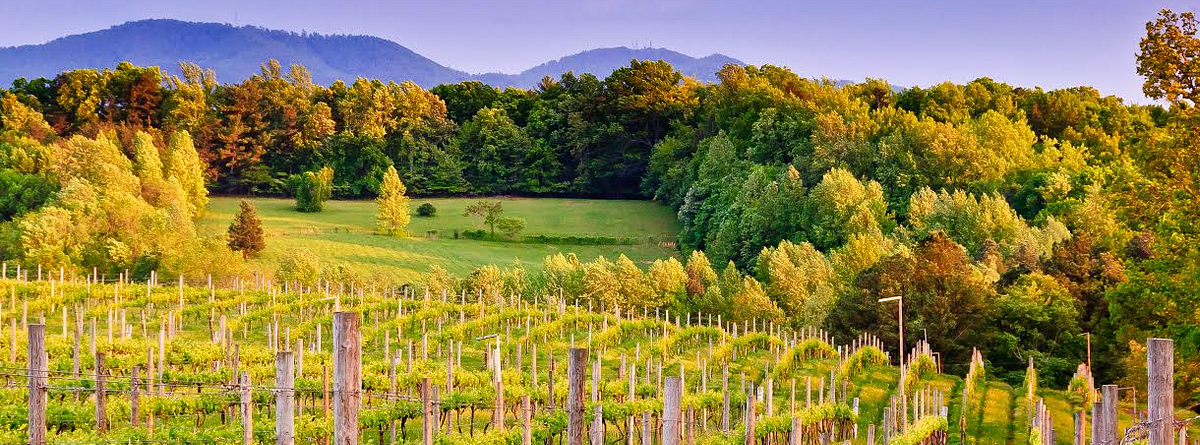 Geospatial Data Science — Case Studies in Viticulture: Monitoring ...