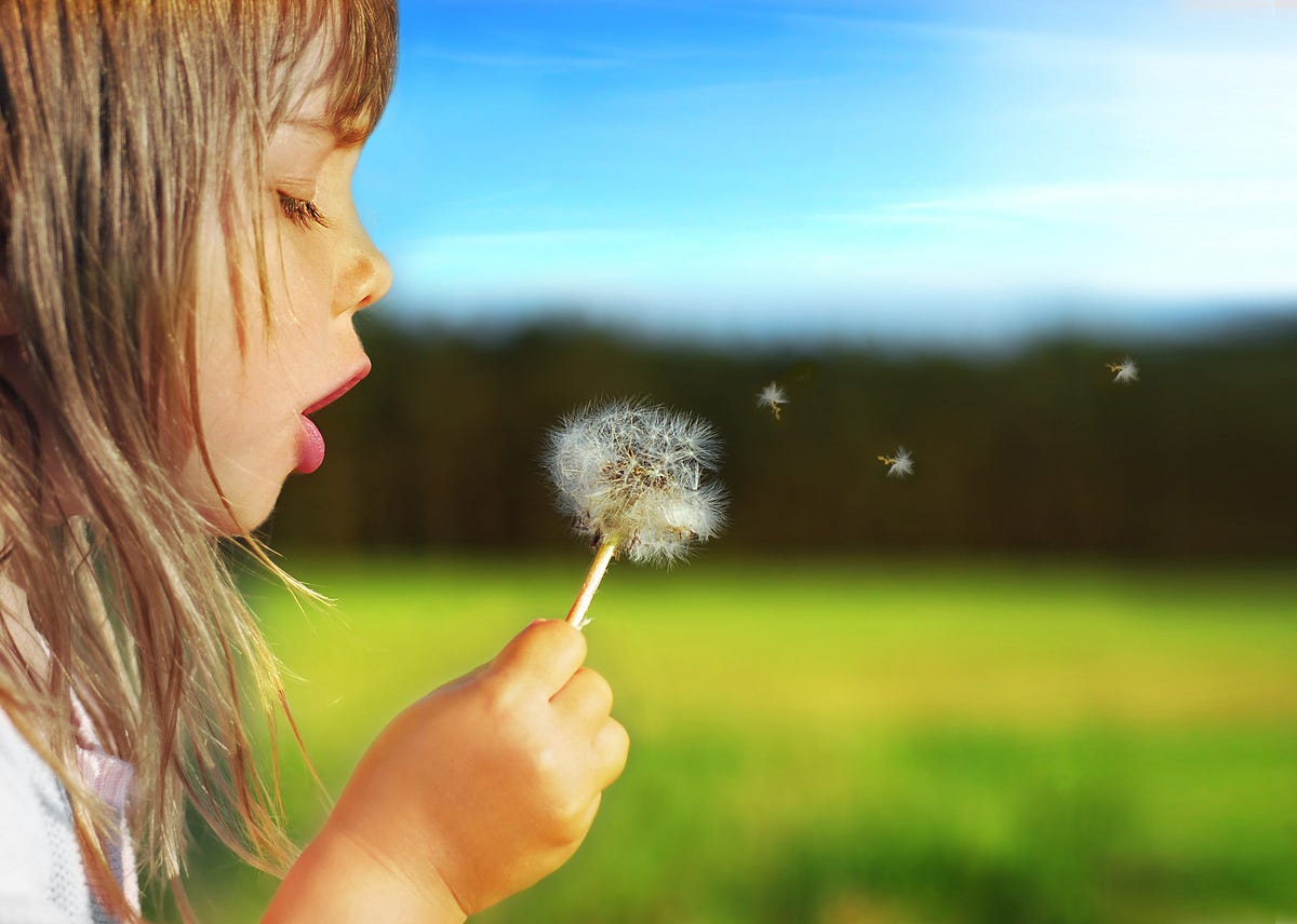 What’s your price?. Imagine a gorgeous sunny day. You’re in… | by Greg ...