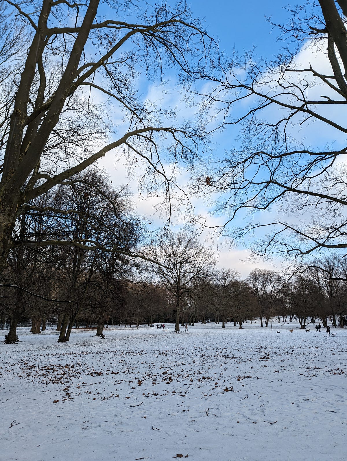 How to Fall in Love with Winter. If you are in the Northern Hemisphere ...
