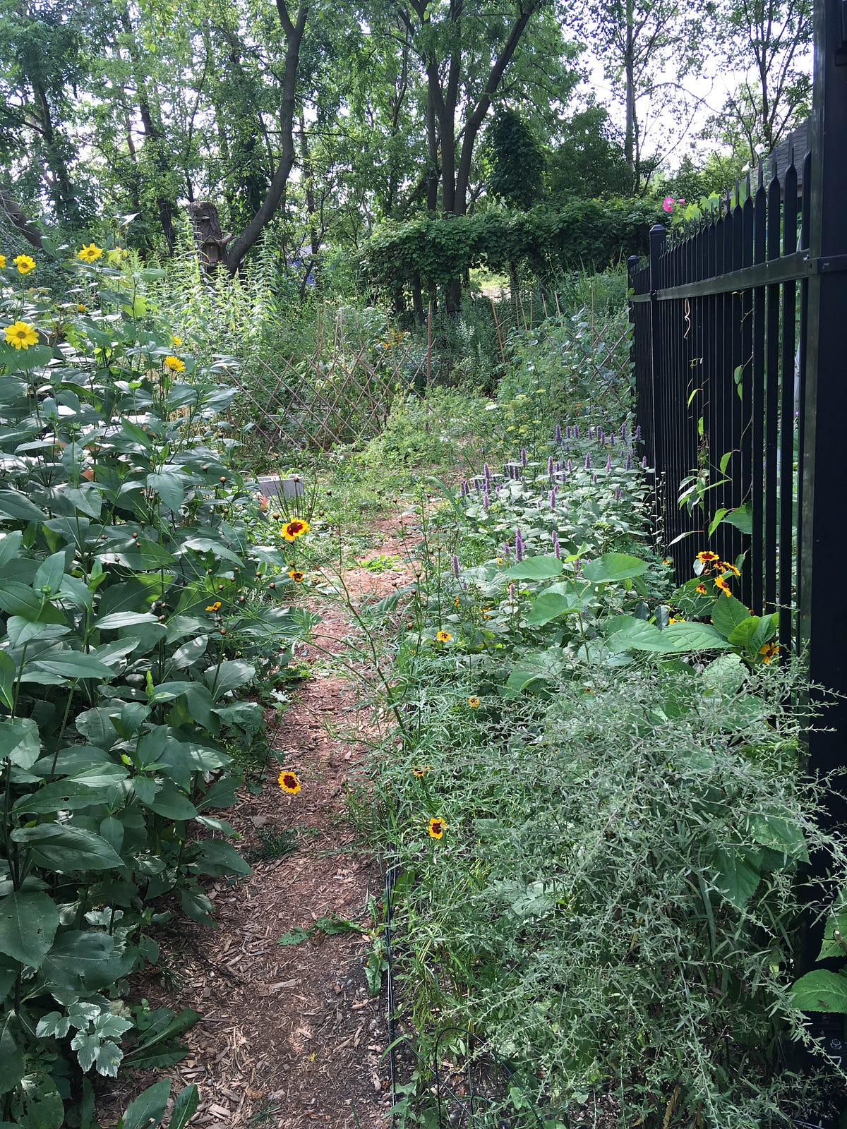 Design the regenerative city. Using zones and sectors in an urban… | by ...