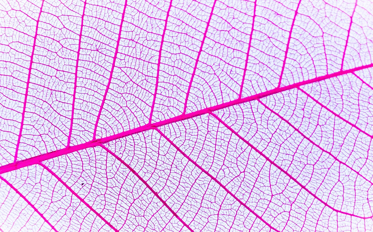 How Stoic Journaling Can Be a Powerful Force for the Over Thinker | by ...