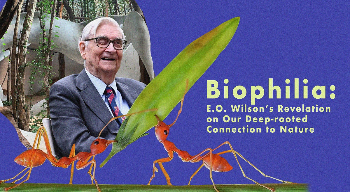 Biophilia: E.O. Wilson's Revelation | LAL | Medium
