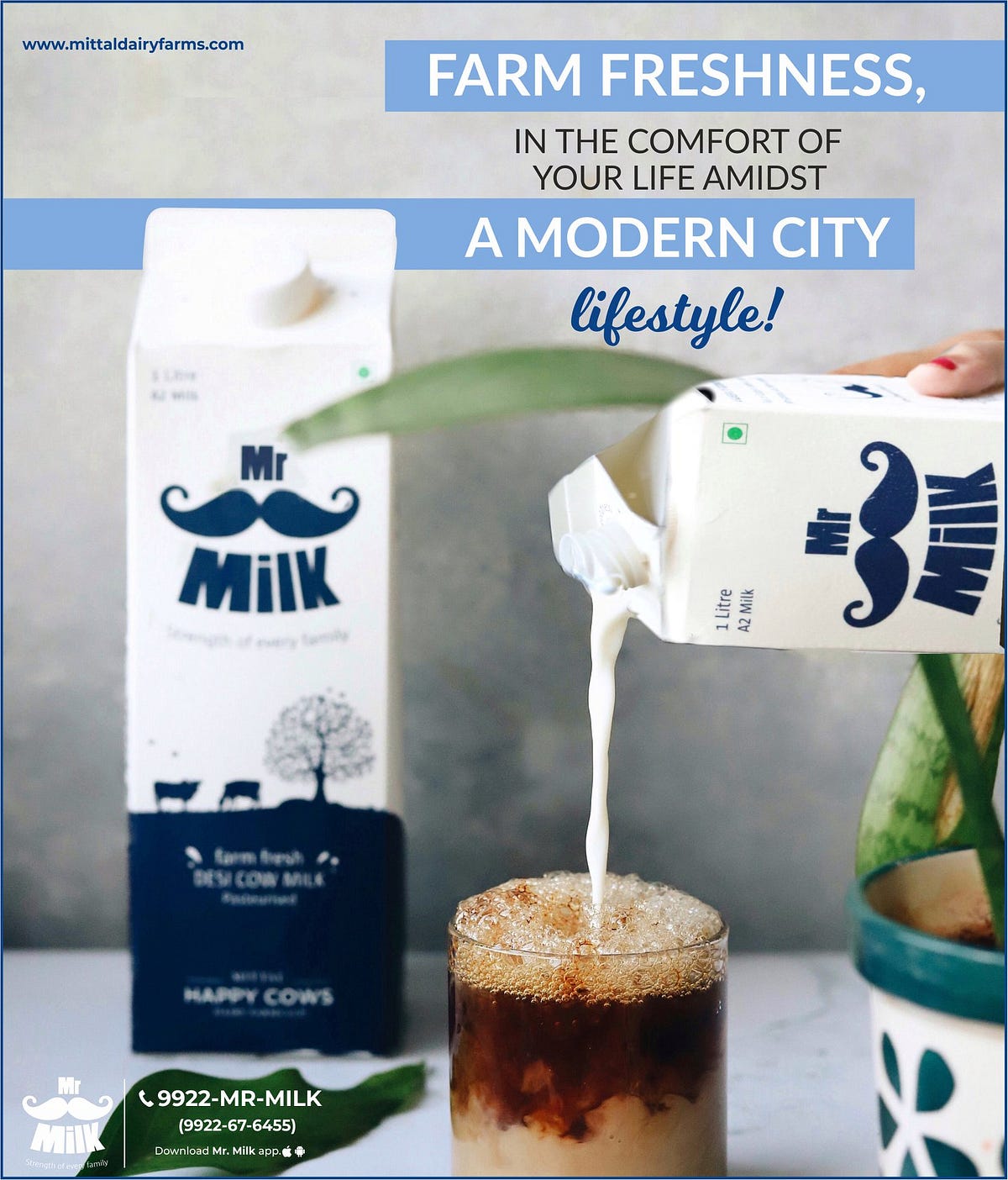 Farm Fresh A2 Desi Cow Milk | Mr. Milk - Mr. Milk - Medium