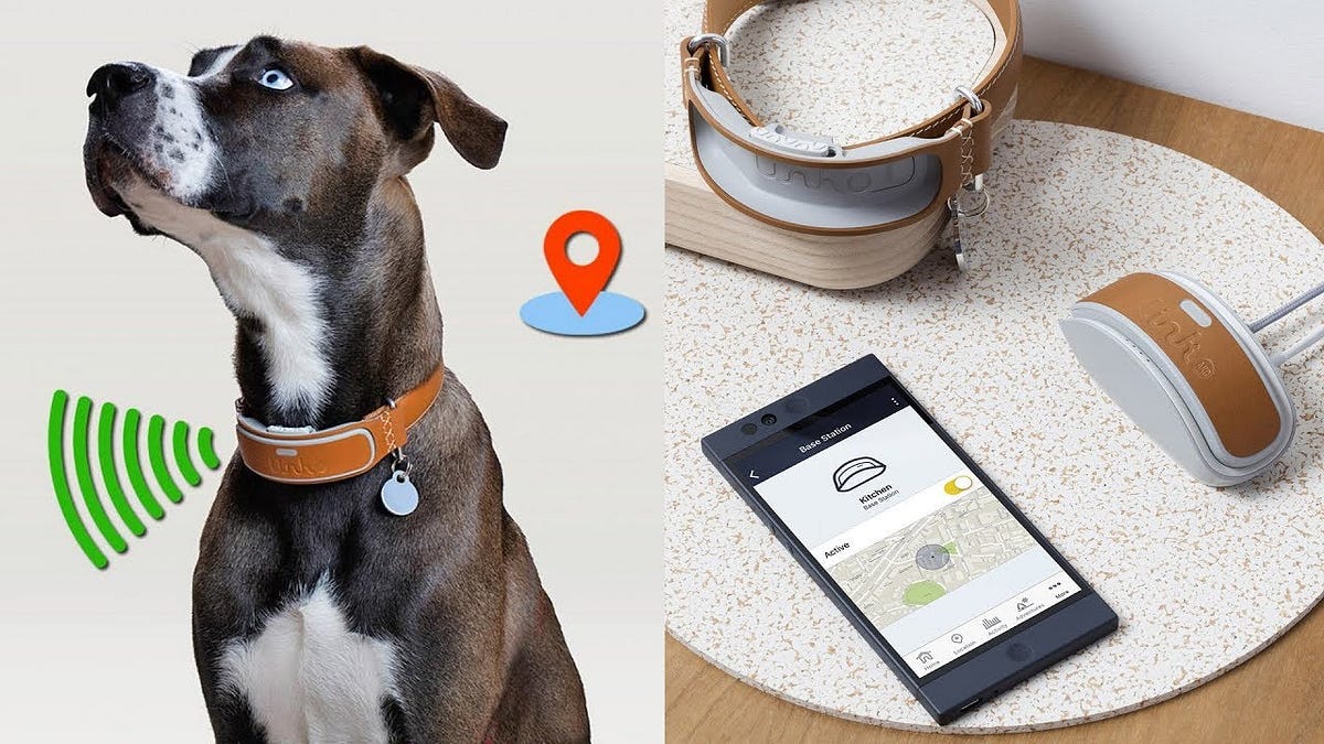 The Growing Impact of Smart Pet Collars on the Market | by Indrajeet ...