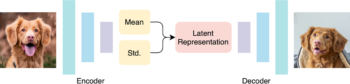 Building a Convolutional VAE in PyTorch | by Tim Cheng | Towards Data Science