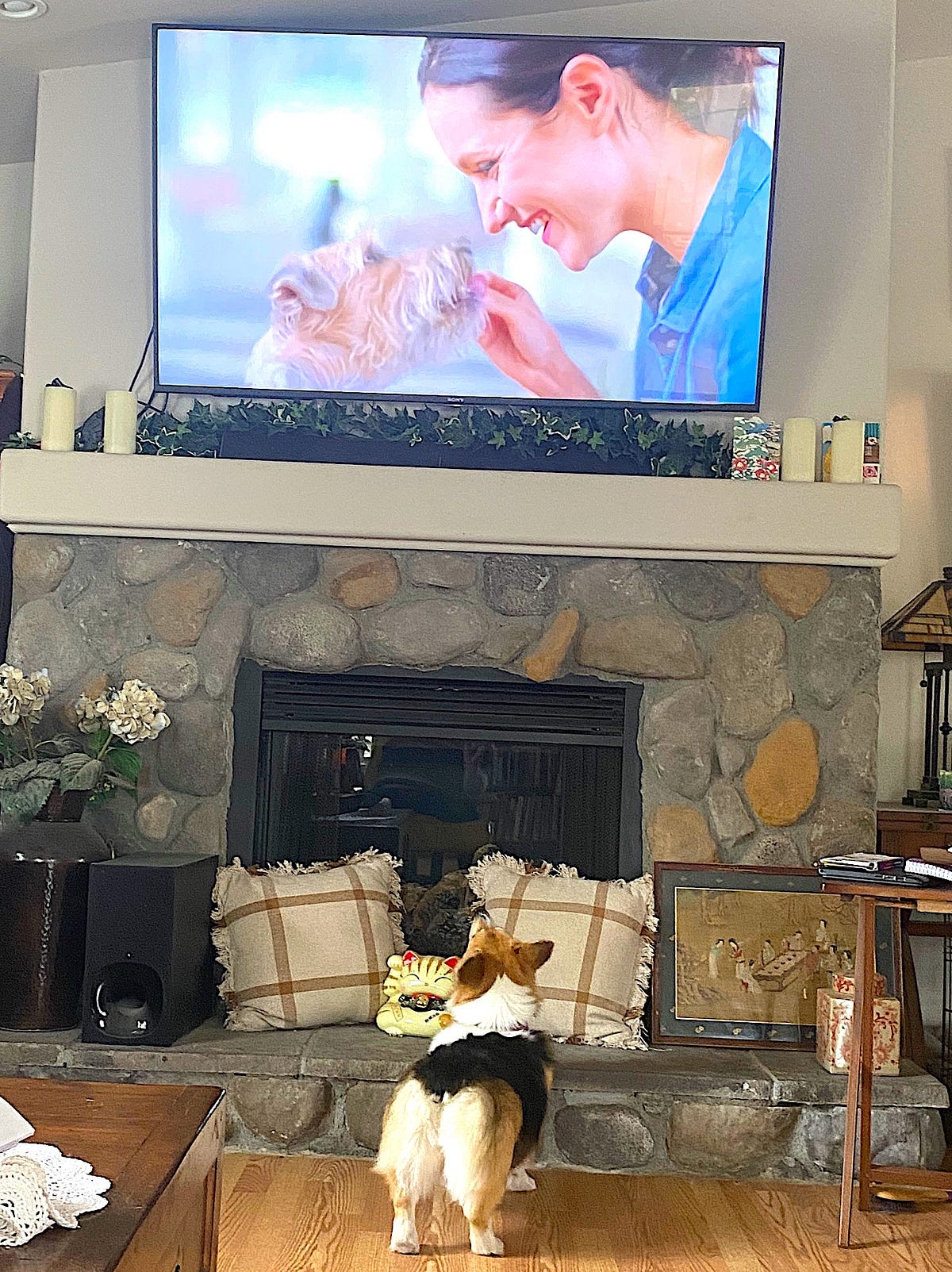 Miss Mali — A TV Addiction - The Daily Cuppa - Medium