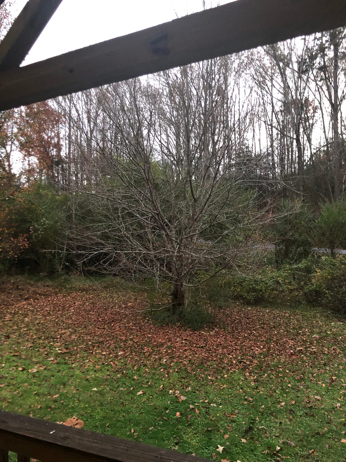 How I Did On My October Budget | Medium