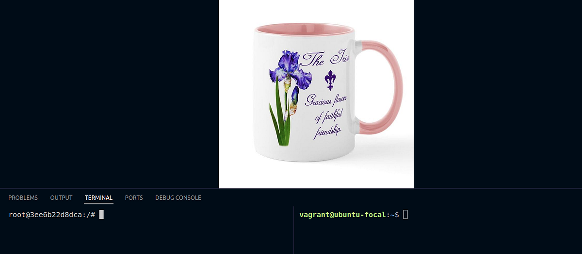 Connecting VS Code to Sandbox with Vagrant on your local machine. | by ...