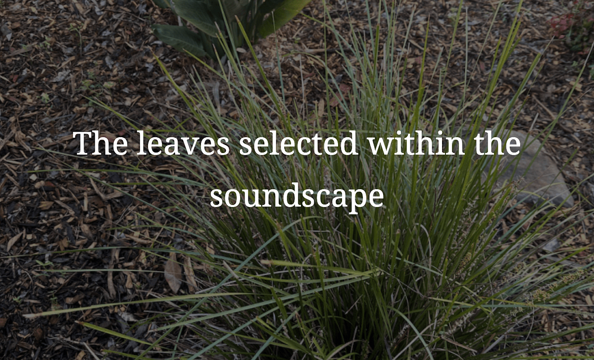 The Role of Sound. Week 3 | by Literacy and Digital Media Blog | Aug ...