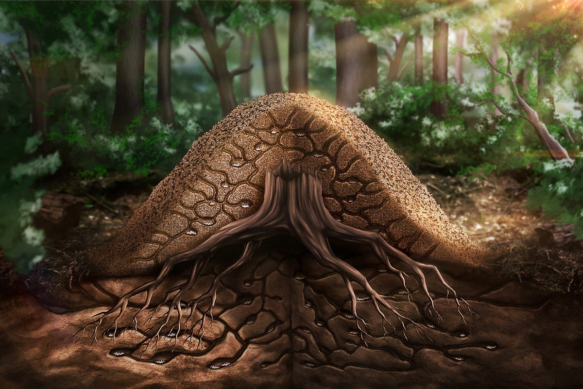 The Anthill. The Anthill is not a simple DAO The… | by SolAnts | Flash ...