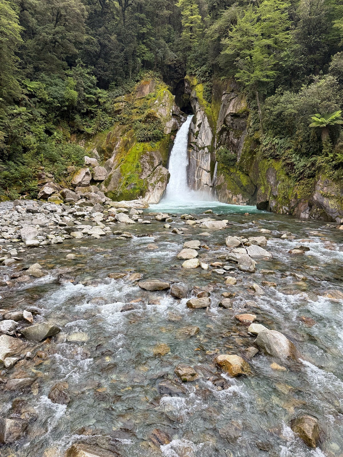 Chasing Waterfalls on the Milford Track | by Barb Steinberg | Dec, 2025 ...
