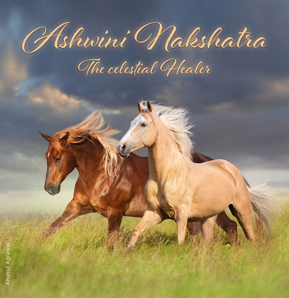 Ashwini Nakshatra — The celestial Healer | by Anshul Agrawal | Medium
