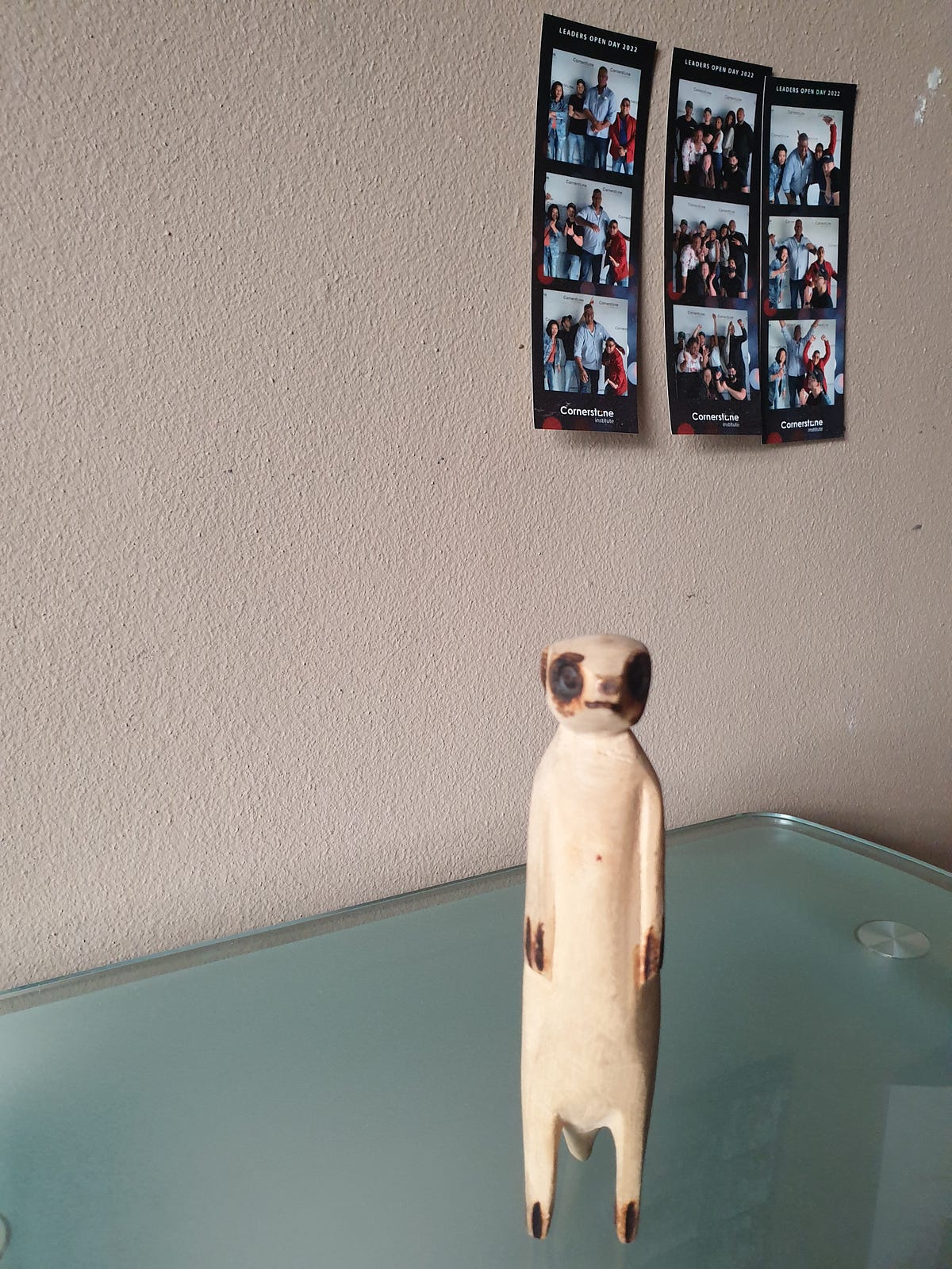 Ever tried training a meerkat to climb a tree? | by Adeliah Jacobs | Medium