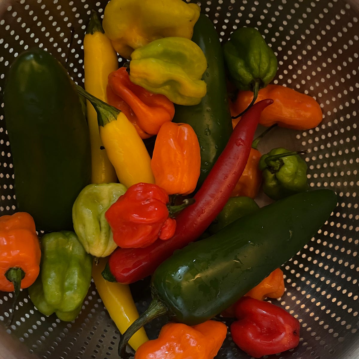 How to Read a Recipe. For new and seasoned home cooks —… | by Autumn ...