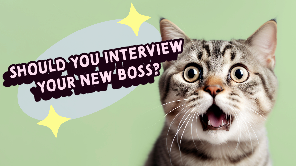 Should You Interview Your New Boss? | by Dave Owczarek | Medium