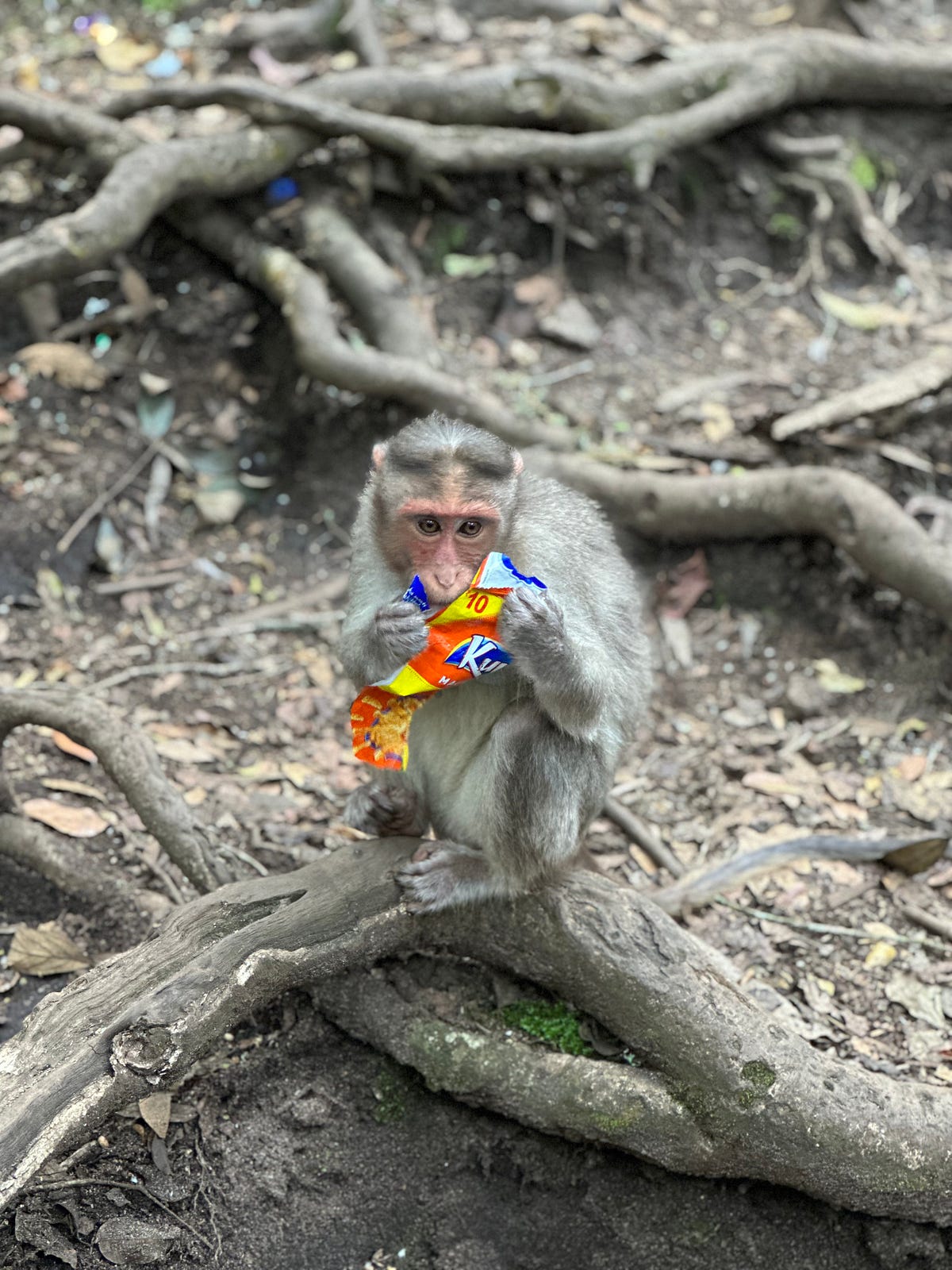 Plastic Beyond Nature’s Beauty. The surge in tourism is leading to a ...