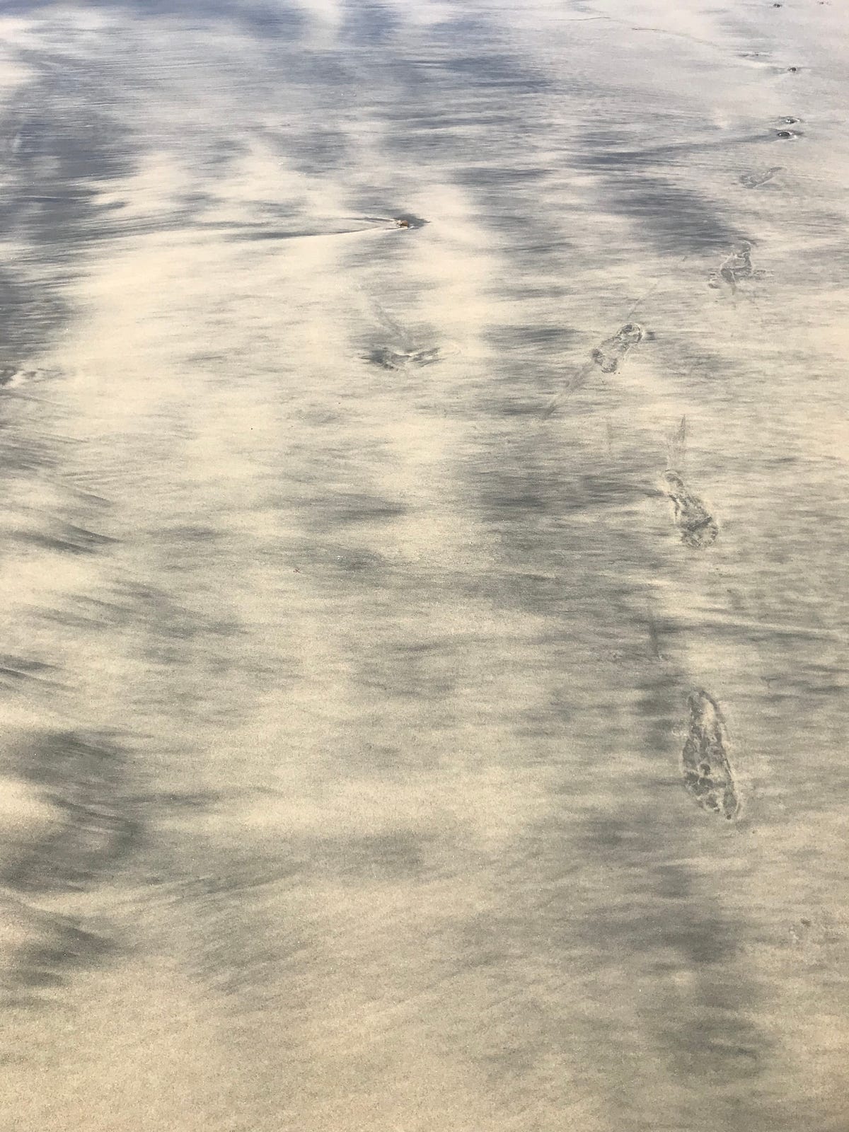 Contact Point [the virtual encounter] | by Rori Knudtson | Medium