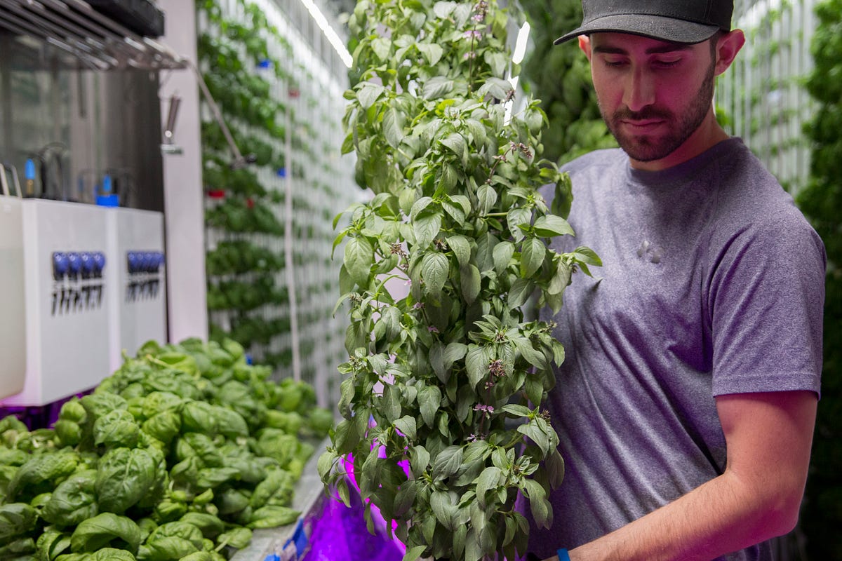 Next-Gen Leaders in Urban Farming | Josh Aliber | by Square Roots ...