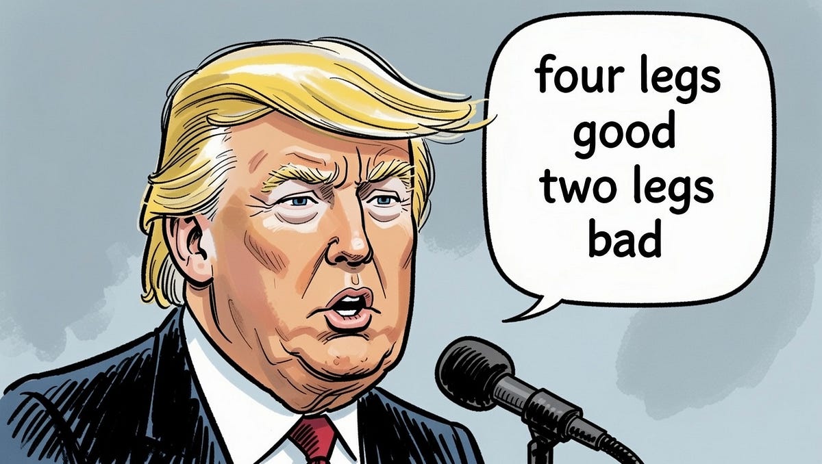 America’s Double Standards. The Bizarre Language of Political… | by ...