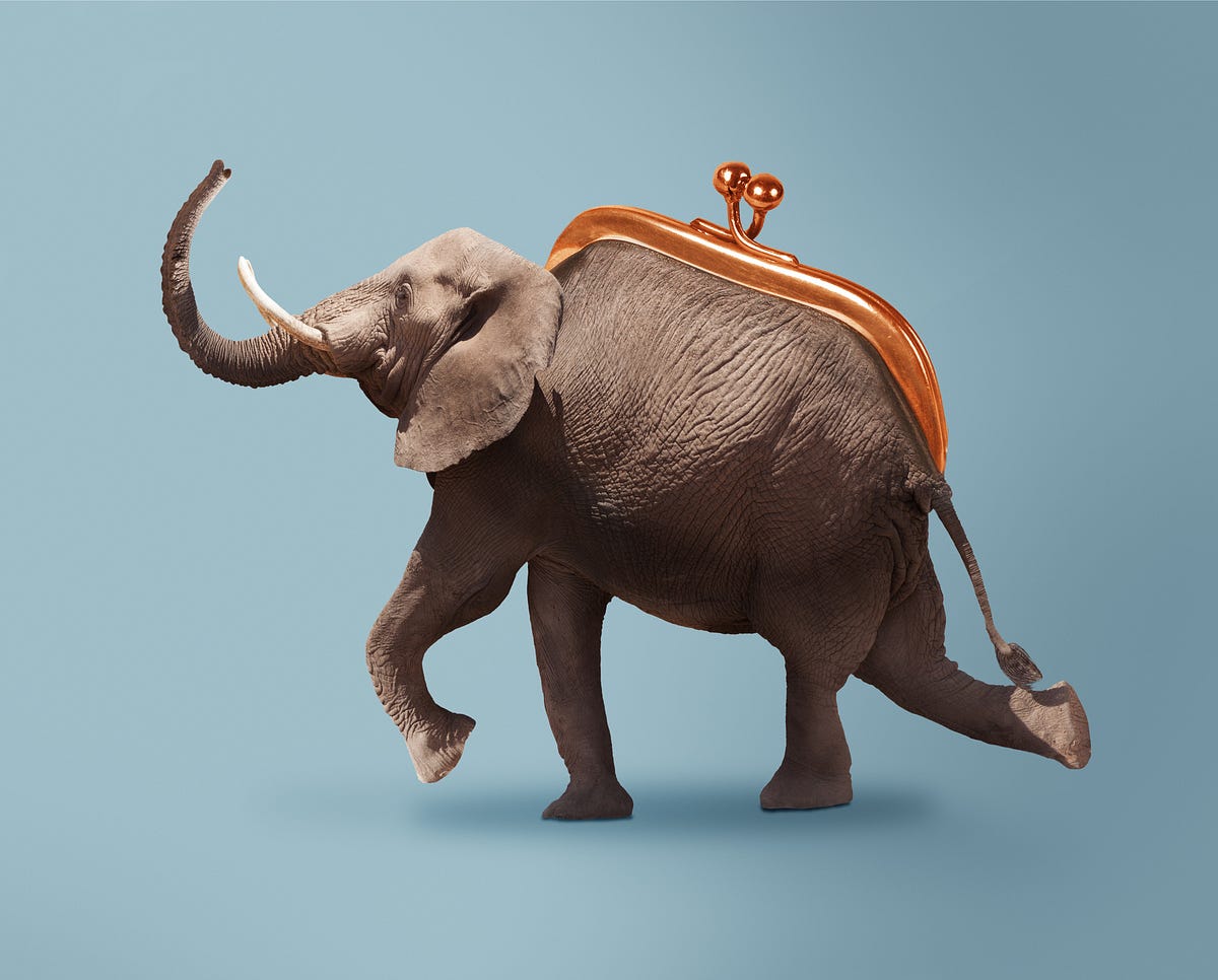 An Elephant On The Dance Floor — Making a Company Customer-Centric | by ...