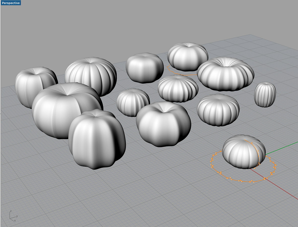 Modeling a Pumpkin Patch with Rhino | by Karen McClellan | KMakes | Medium