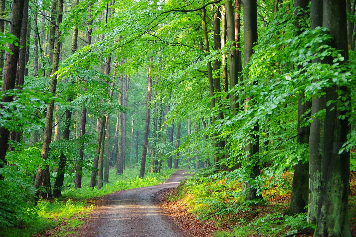“My most enduring Fantasy”. An original poem by me, for you……enjoy ...