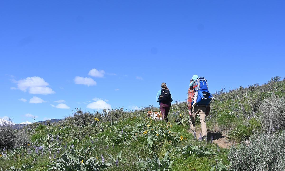 Collaboration in the Methow: WDFW’s Trails Ambassador Program | by The ...