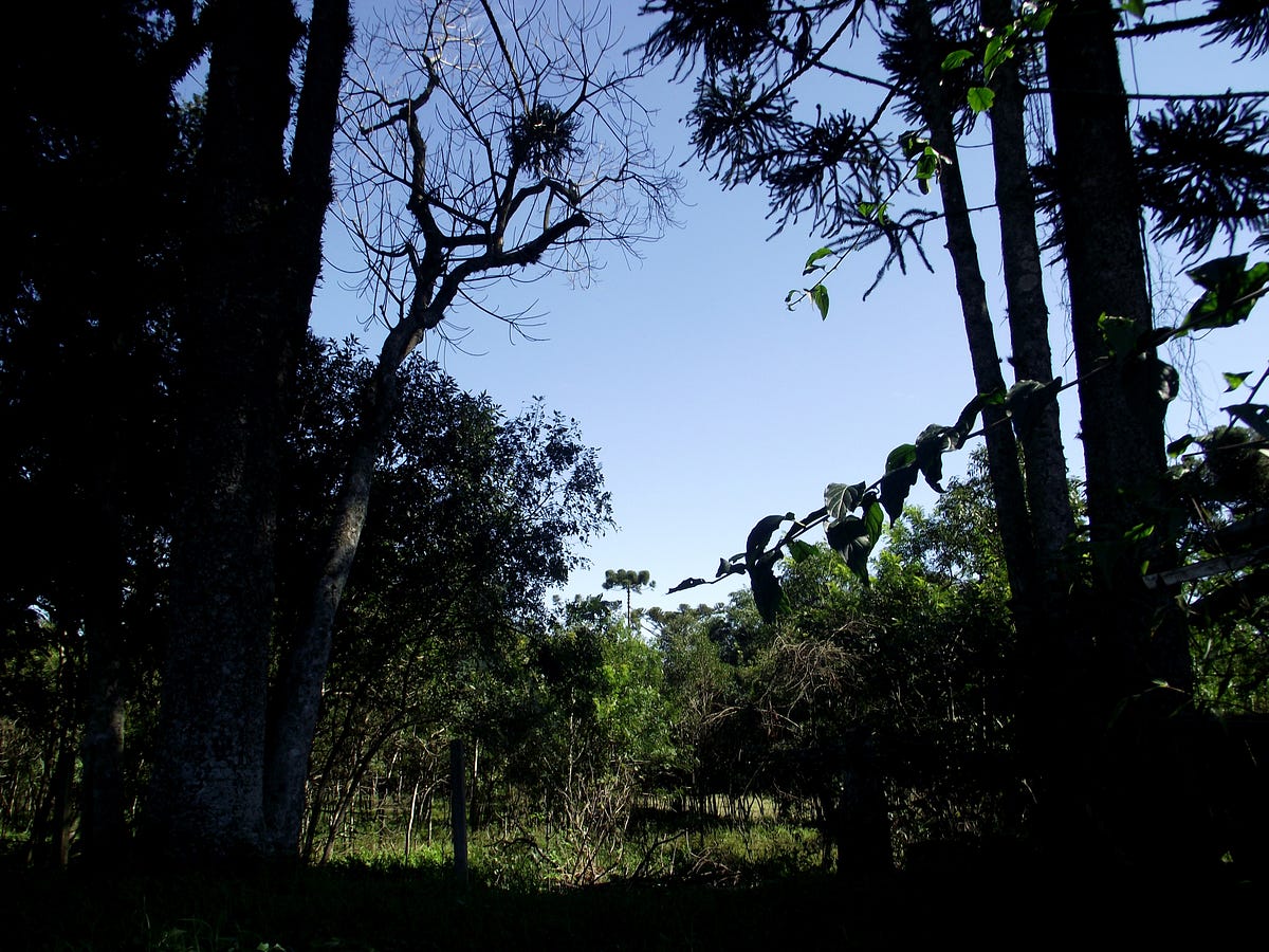My Story. My story starts now. No wind, I’ll just… | by Roberto Luiz Ribeiro | Medium