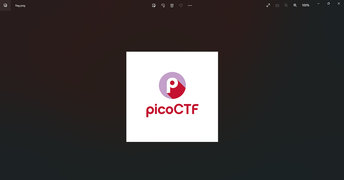 Practice Makes Perfect.. PicoCTF 2023 — Write Up | by artx | FMI Cyber Security Consulting ...