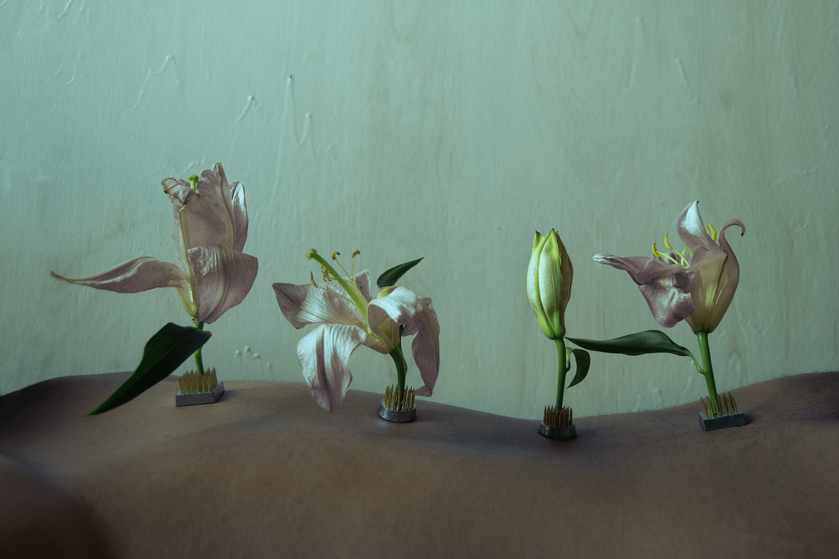 A Celebration of Procrastination. Notes from my daily photography… | by ...