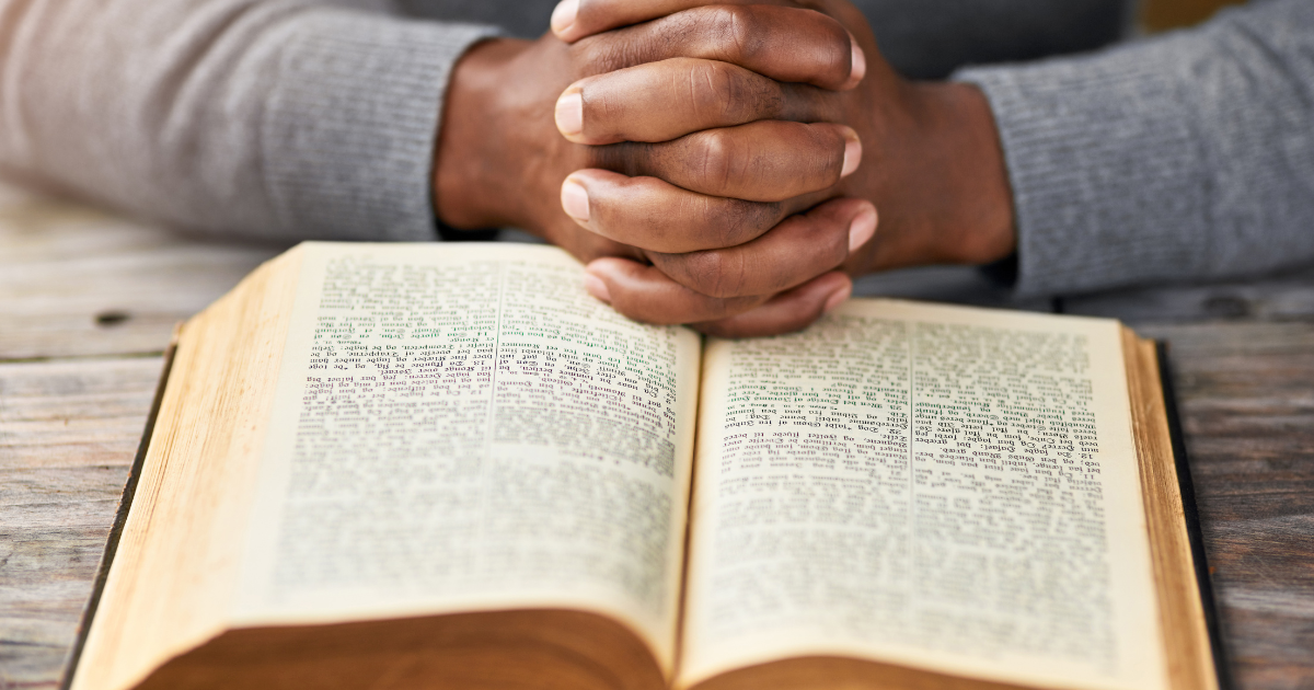 This is why i think Free Will Was God’s Mistake | by victordelgado.btc ...
