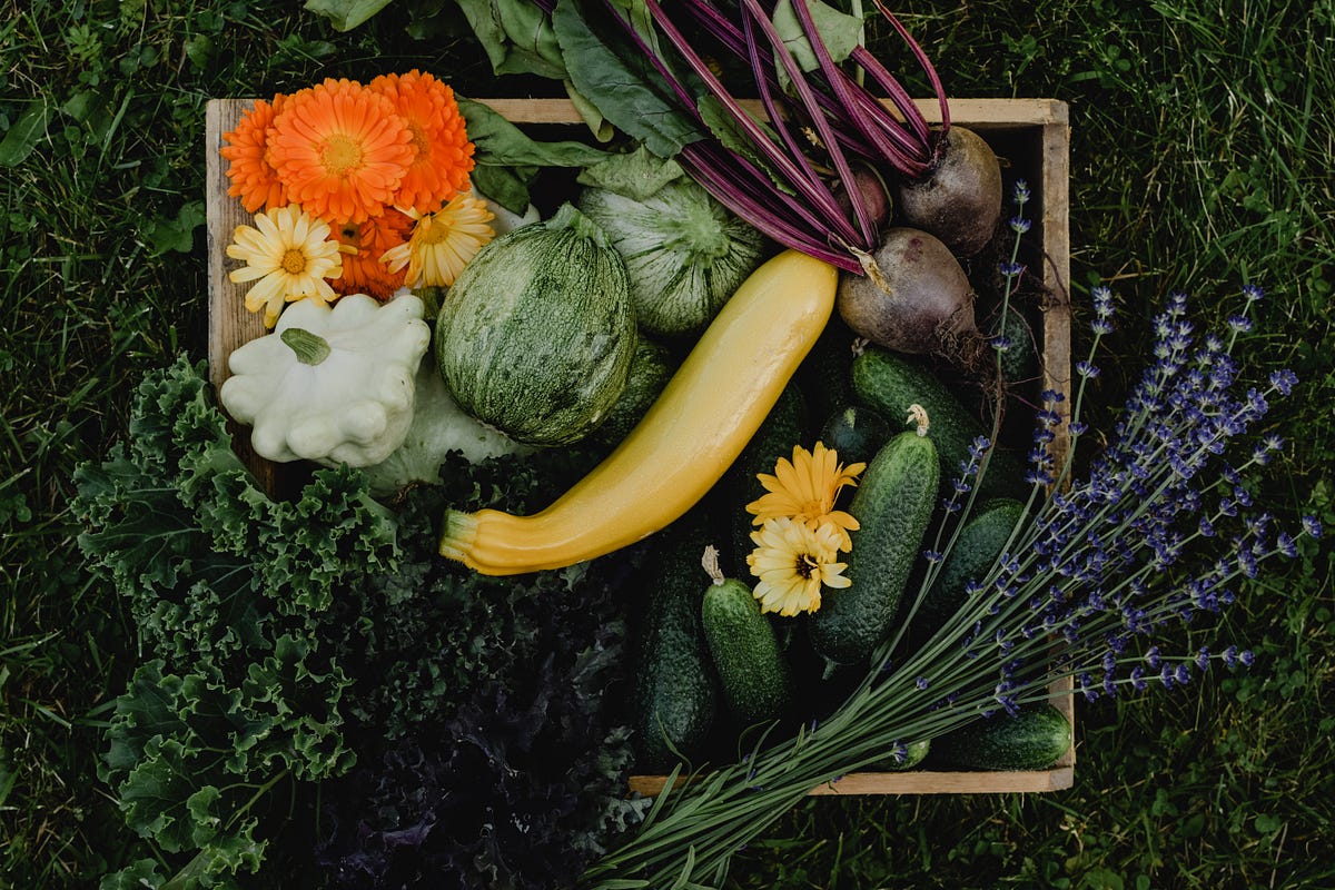 10 Reasons I’m Veggie. Pretty self-explanatory this one. In… | by Alfie ...