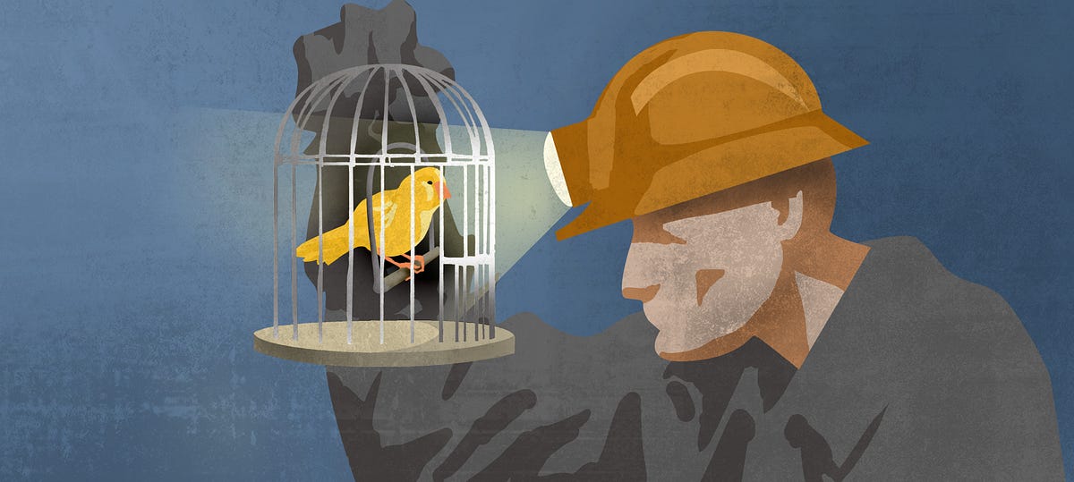Of Canaries and Coal Mines. Weak Signals and Scrum | by Max Heiliger ...