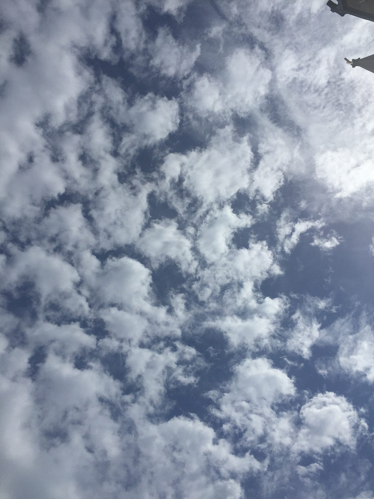 Urban Journalism Scavenger Hunt 2018 | by ThatOneKid | Medium