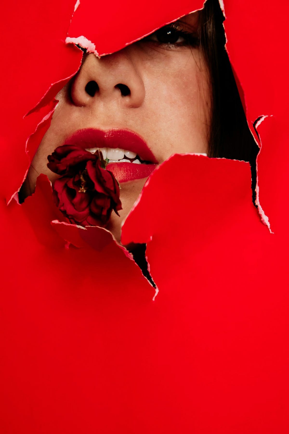 Internal War. Eating Disorders Tireless Battle to… | by Shayla Renee 💖 ...