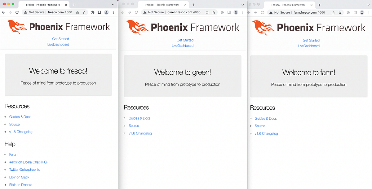 Create a multi-tenant, whitelabel application in Elixir & Phoenix part II: Dynamic subdomain ...