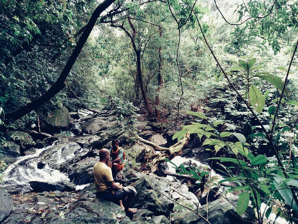 Lost and Found in The Sharavathi Valley | by Vivek Muthuramalingam | Medium