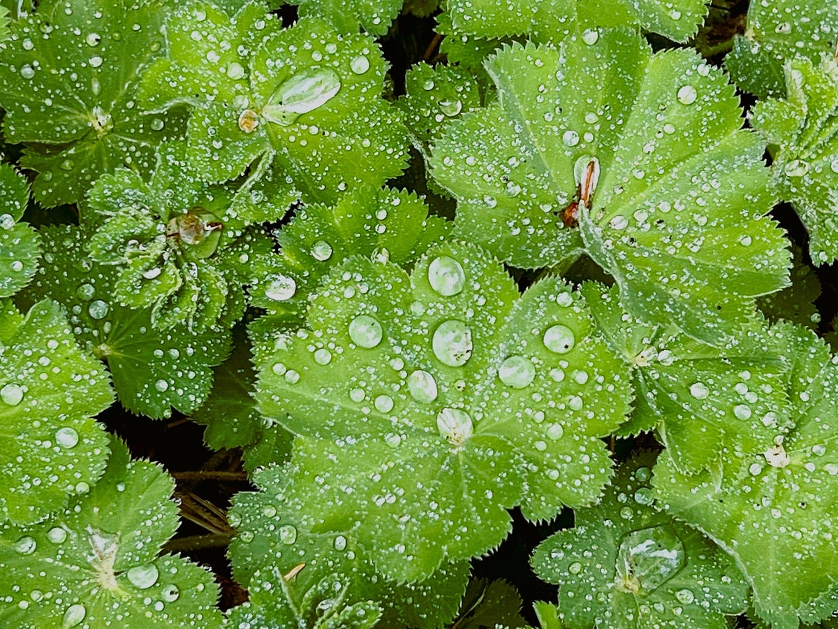 How to Use 1-Sentence Journaling to Stay Calm When Work Gets Too ...