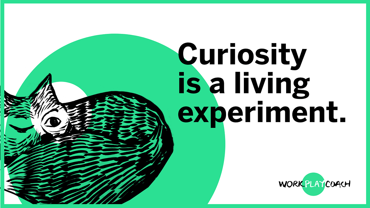 How to talk about Curiosity?. For me, curiosity is that tiny but… | by ...