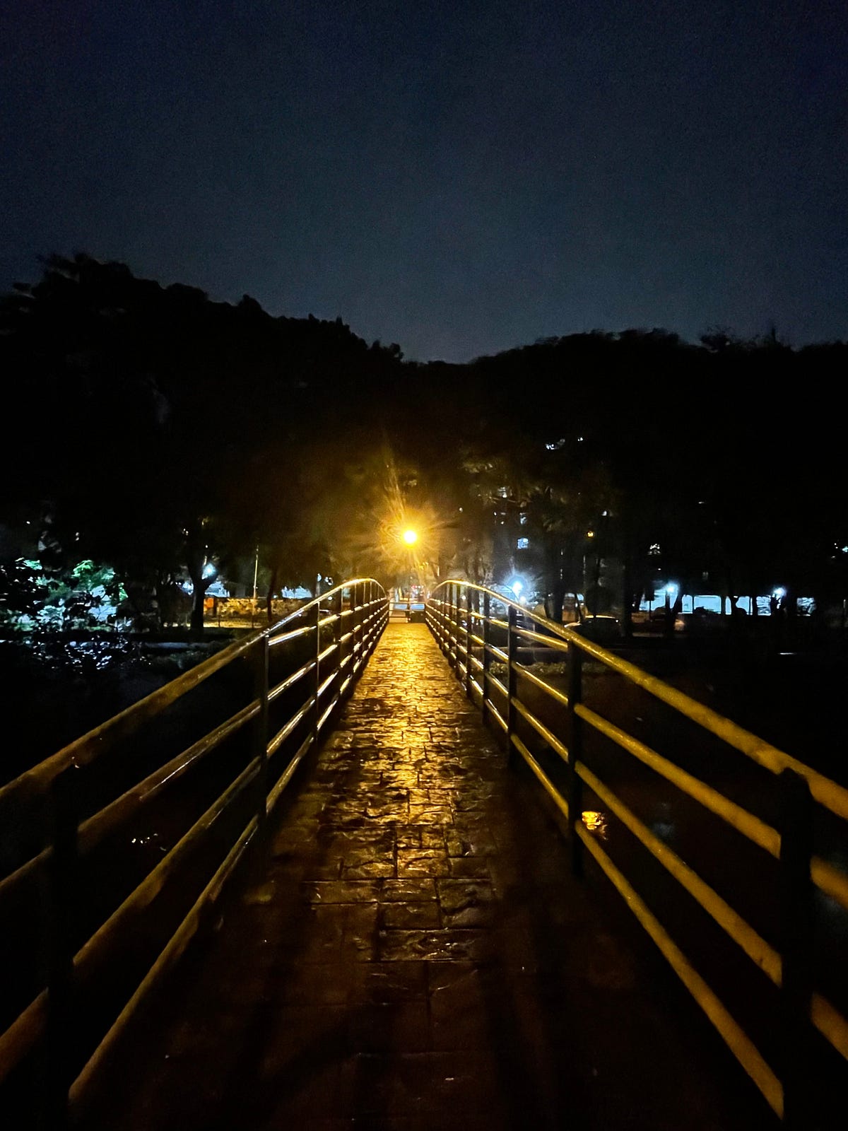 Light in the Dark of Night. A haiku and a response | by Venkataraman ...