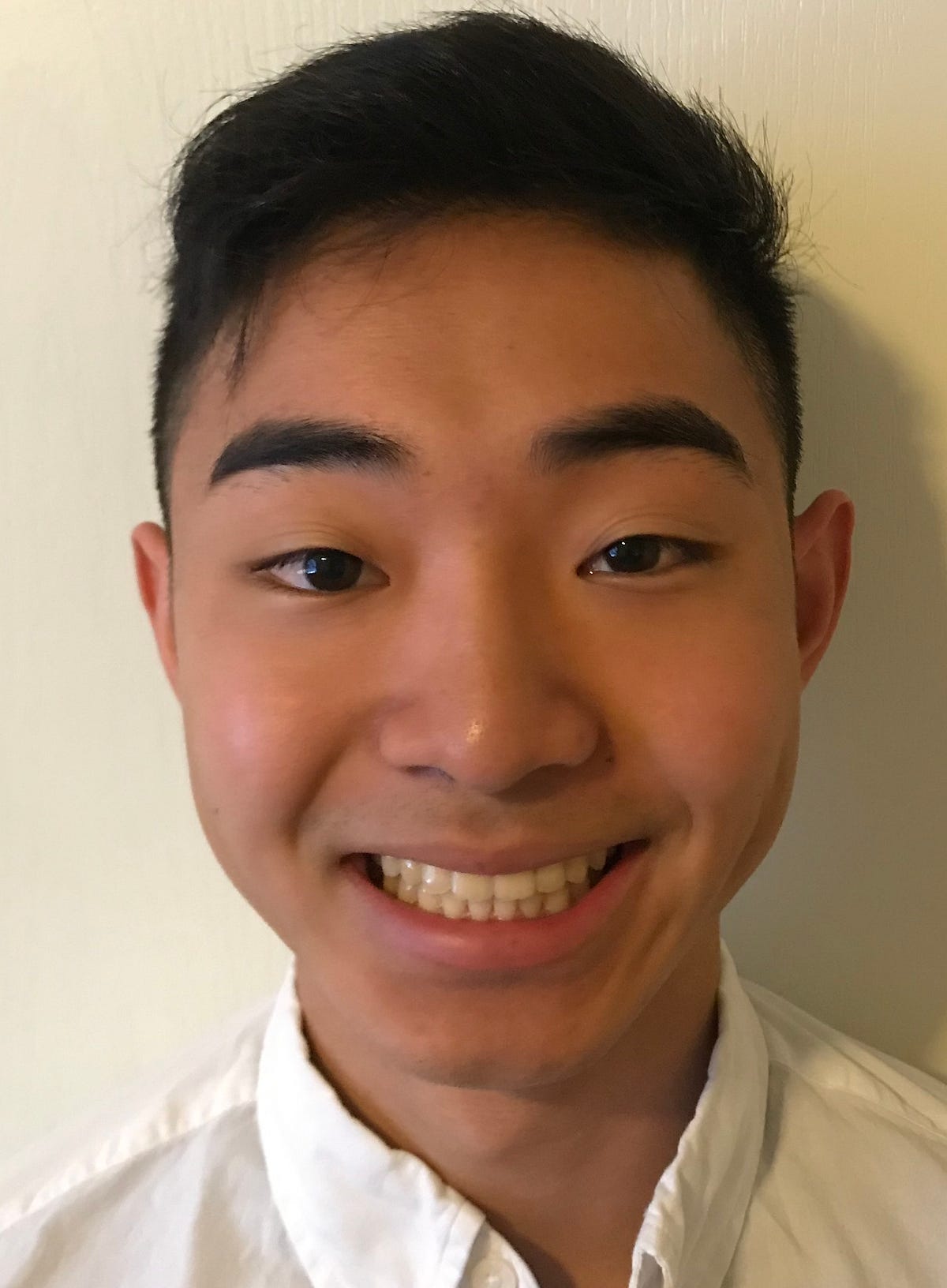 CS373 Spring 2019: Bill Yang (Final Entry) | by Bill L Yang | Medium