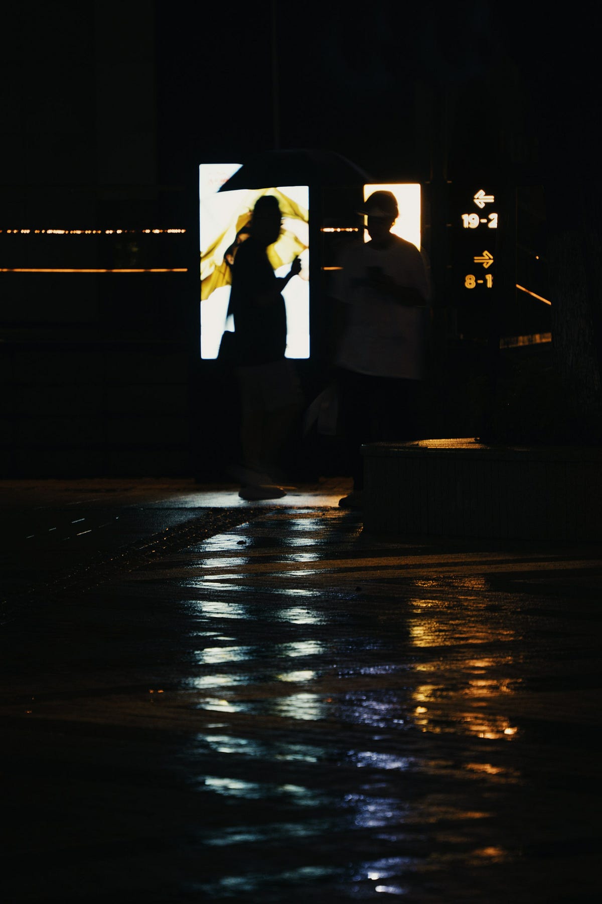The Way the Light Fell. A night of repose between two strangers… | by ...