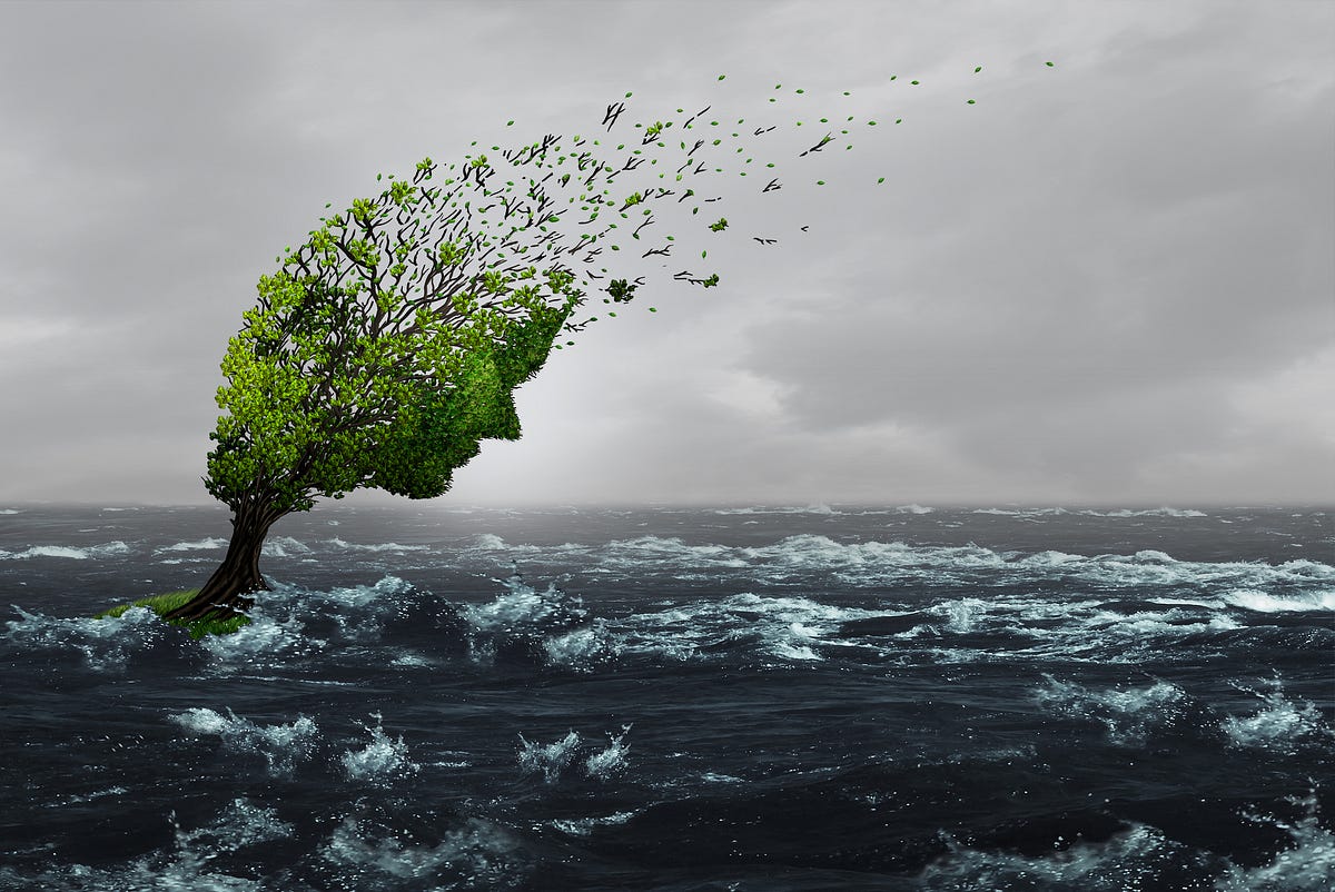 Insider Secrets: The Devastating Emotions Of Climate Change Professionals | by Shauna MacKinnon ...