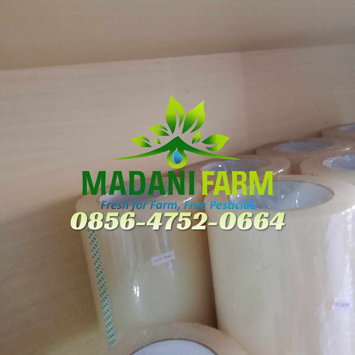 Isolasi / Lakban UV Untuk spesifikasi dan harga hubungi 085647520664 atau klik tautan dibawah ...