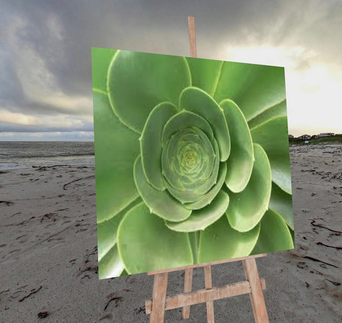 VR Nature Immersion Experience: Design for Relaxation | by Kendall ...